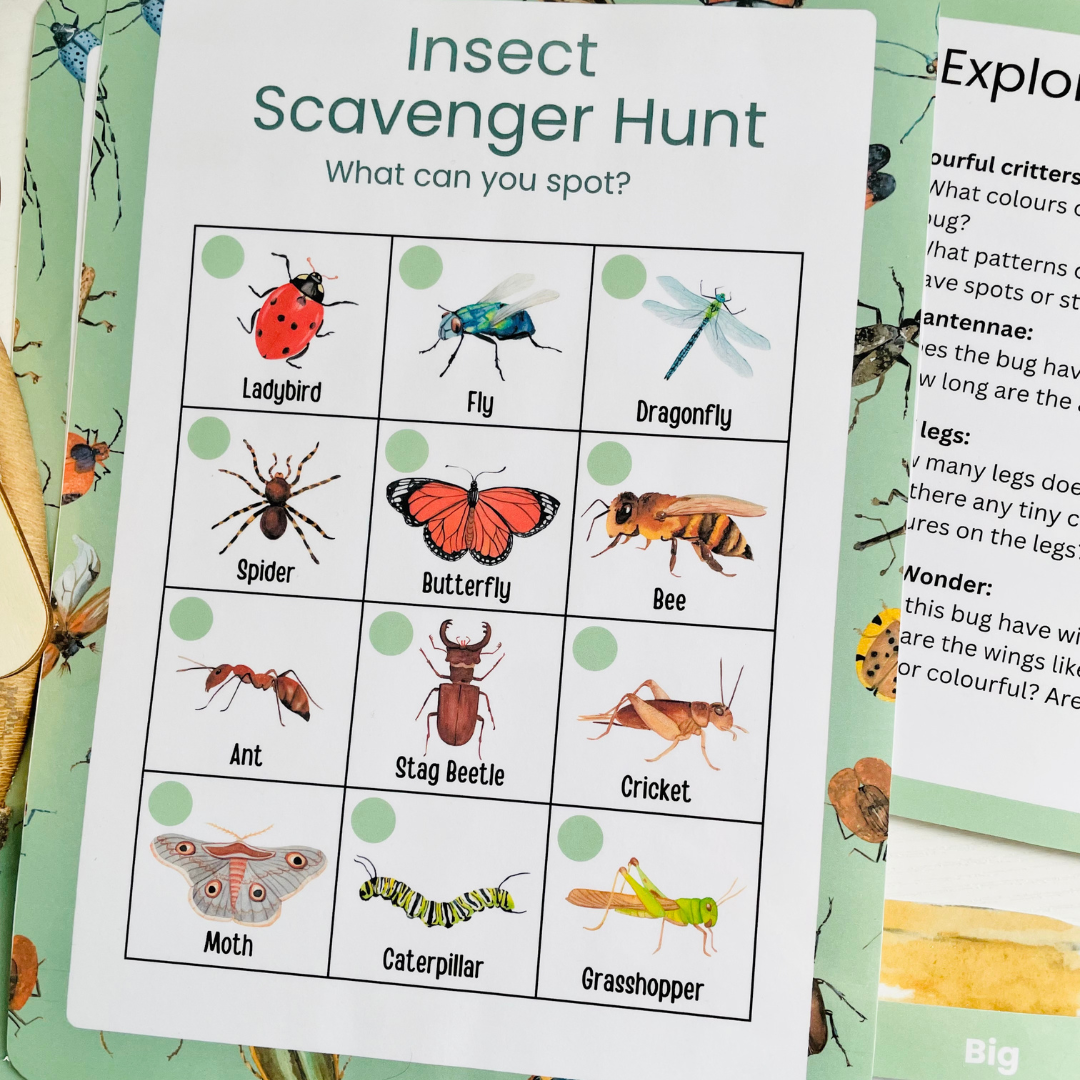 Insect Scavenger Hunt – Play Craft Grow