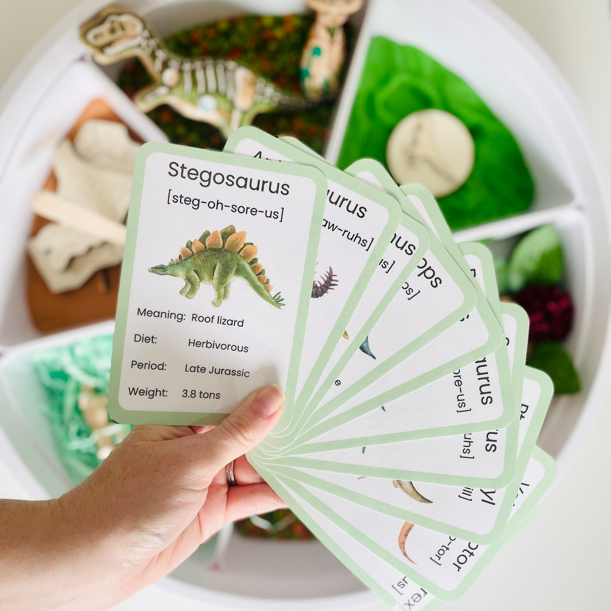 Dinosaur Facts Flashcards – Play Craft Grow