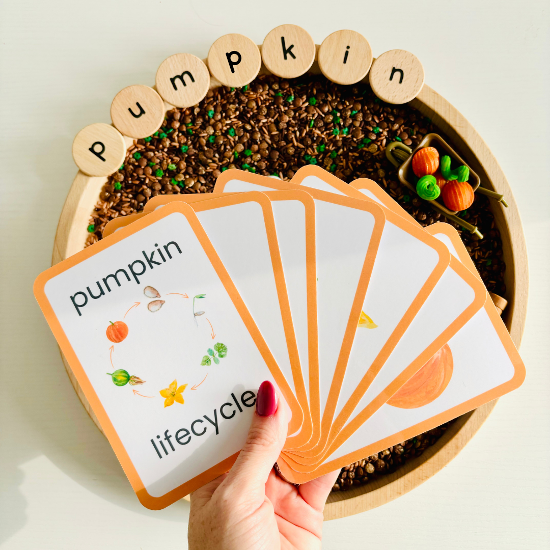 Pumpkin Lifecycle Flashcards – Play Craft Grow