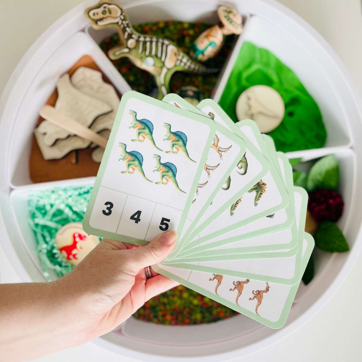 Dinosaur Counting Flashcards – Play Craft Grow