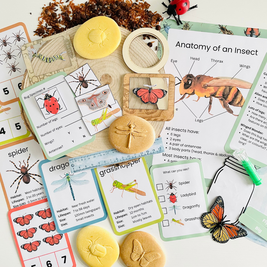 The Insect Activity Pack – Play Craft Grow