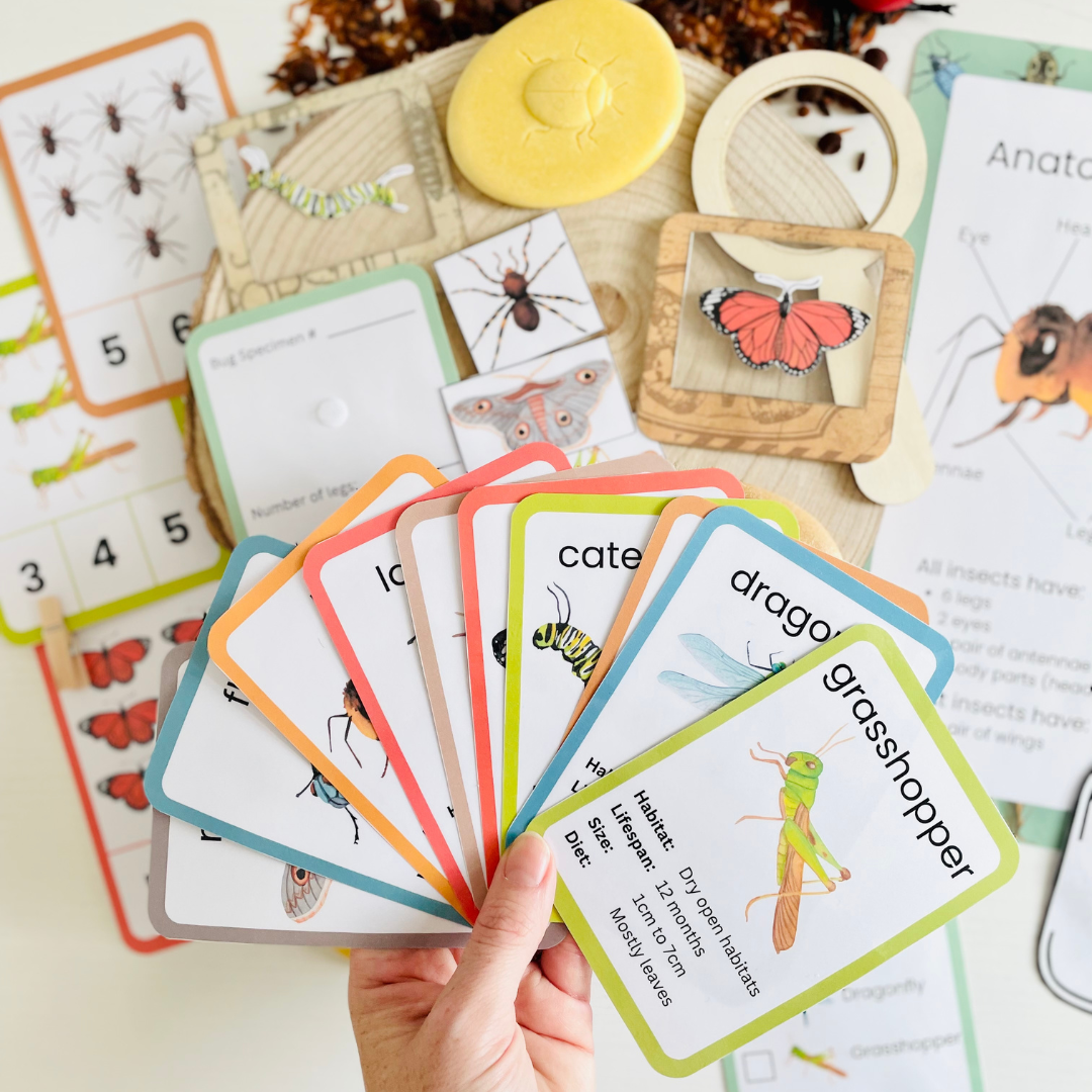 Insect Facts Flashcards – Play Craft Grow