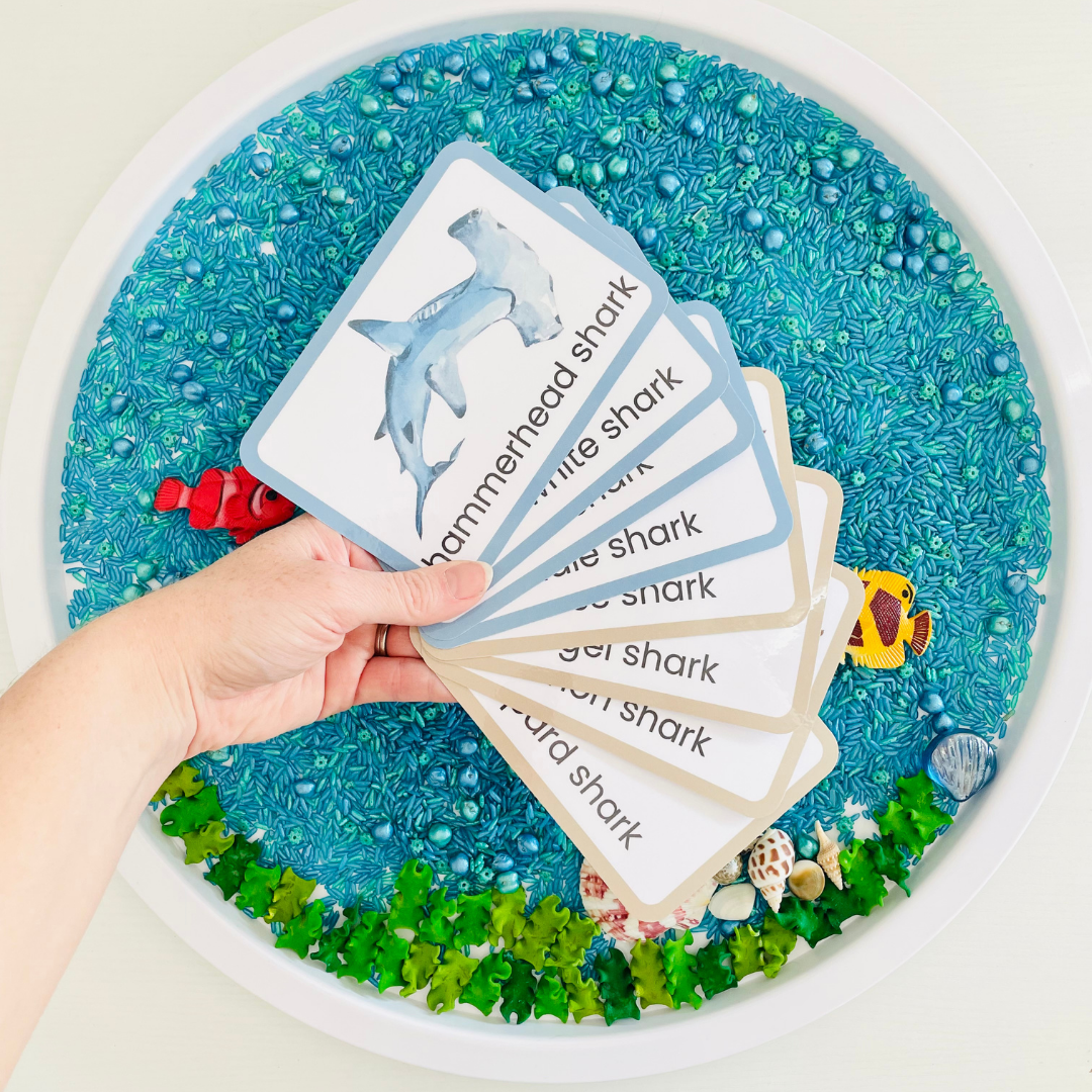 Shark Flashcards – Play Craft Grow