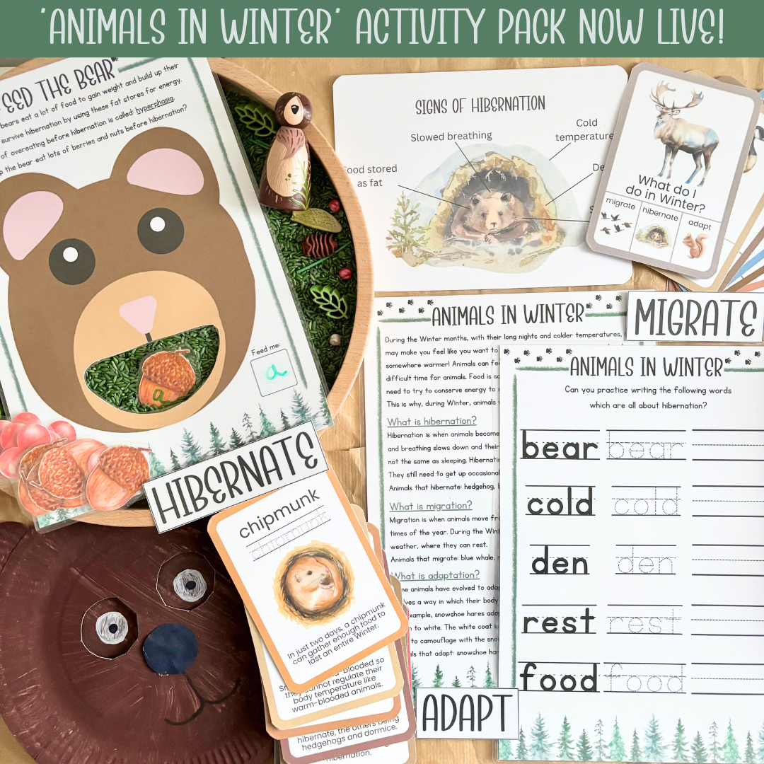 Animals in Winter Mega Activity Pack – Play Craft Grow