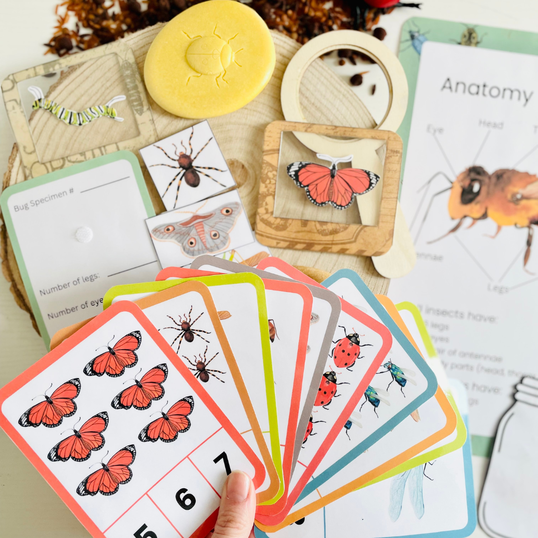 Insect Counting Flashcards – Play Craft Grow