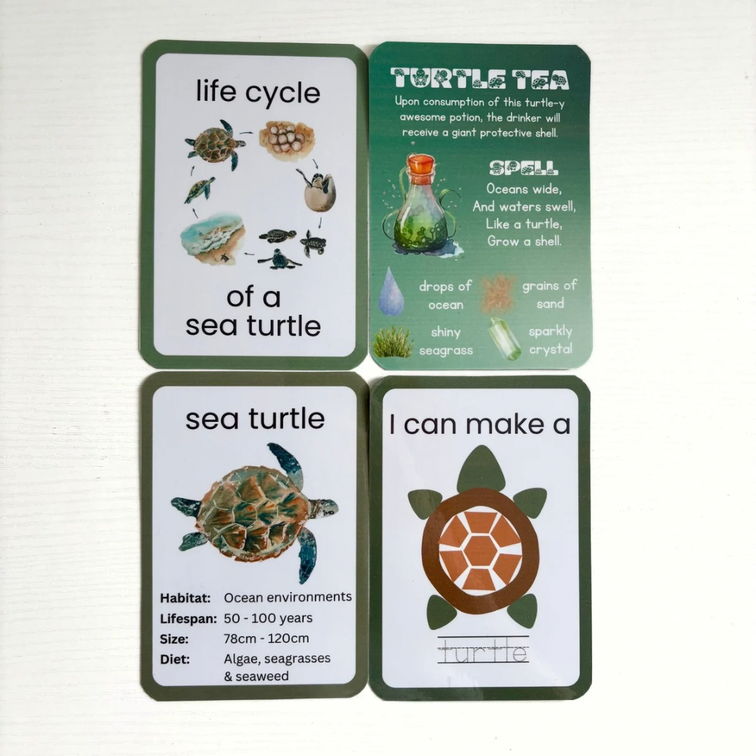 Turtle Flashcards - Mix – Play Craft Grow