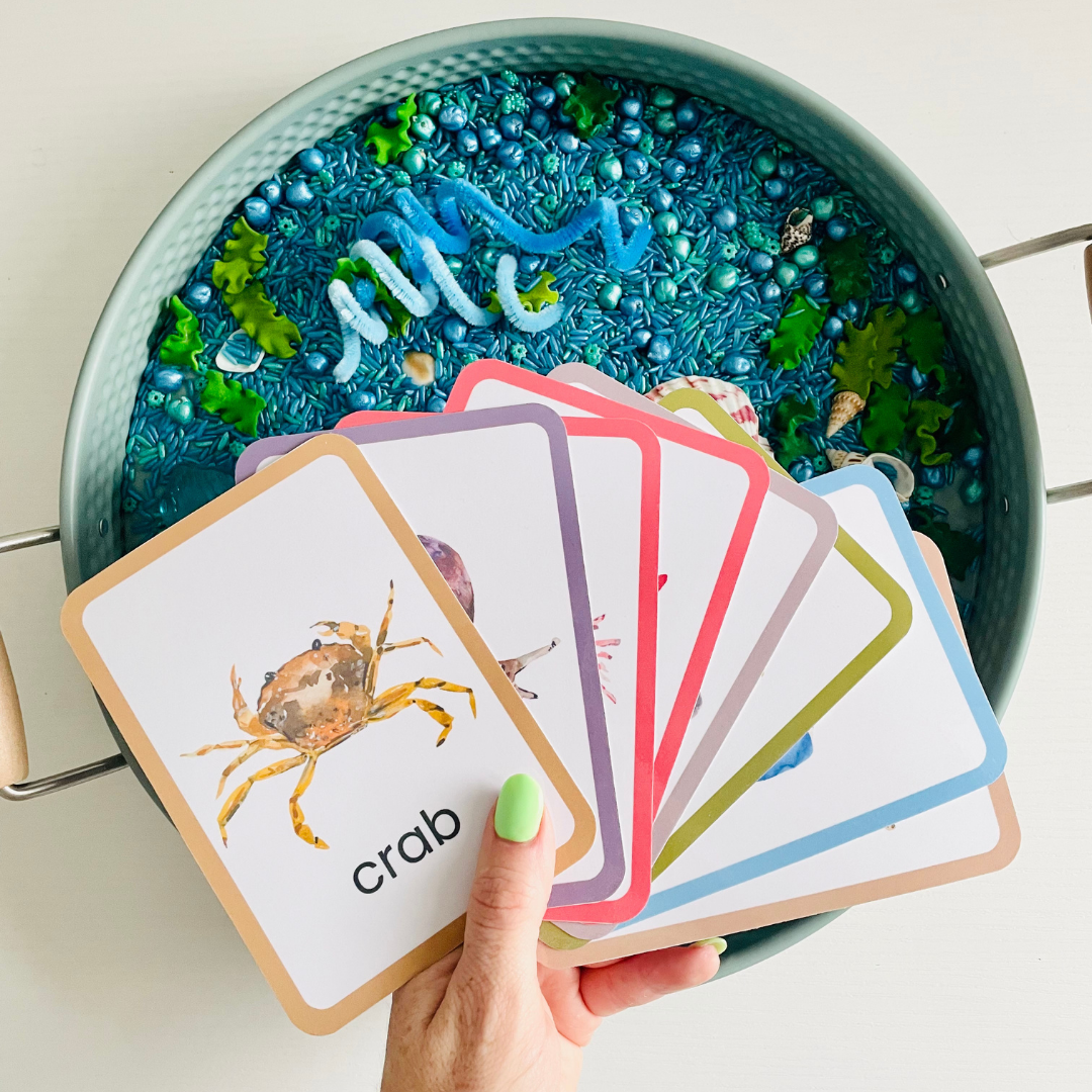 Rockpool Flashcards – Play Craft Grow
