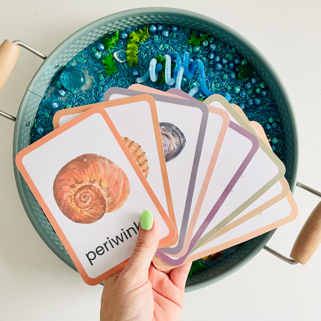 Shells Flashcards – Play Craft Grow