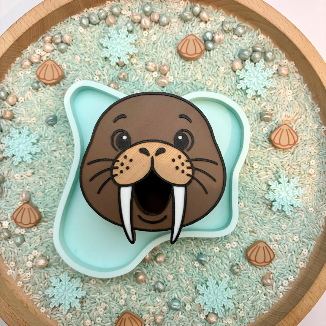 Feed the Walrus – Play Craft Grow